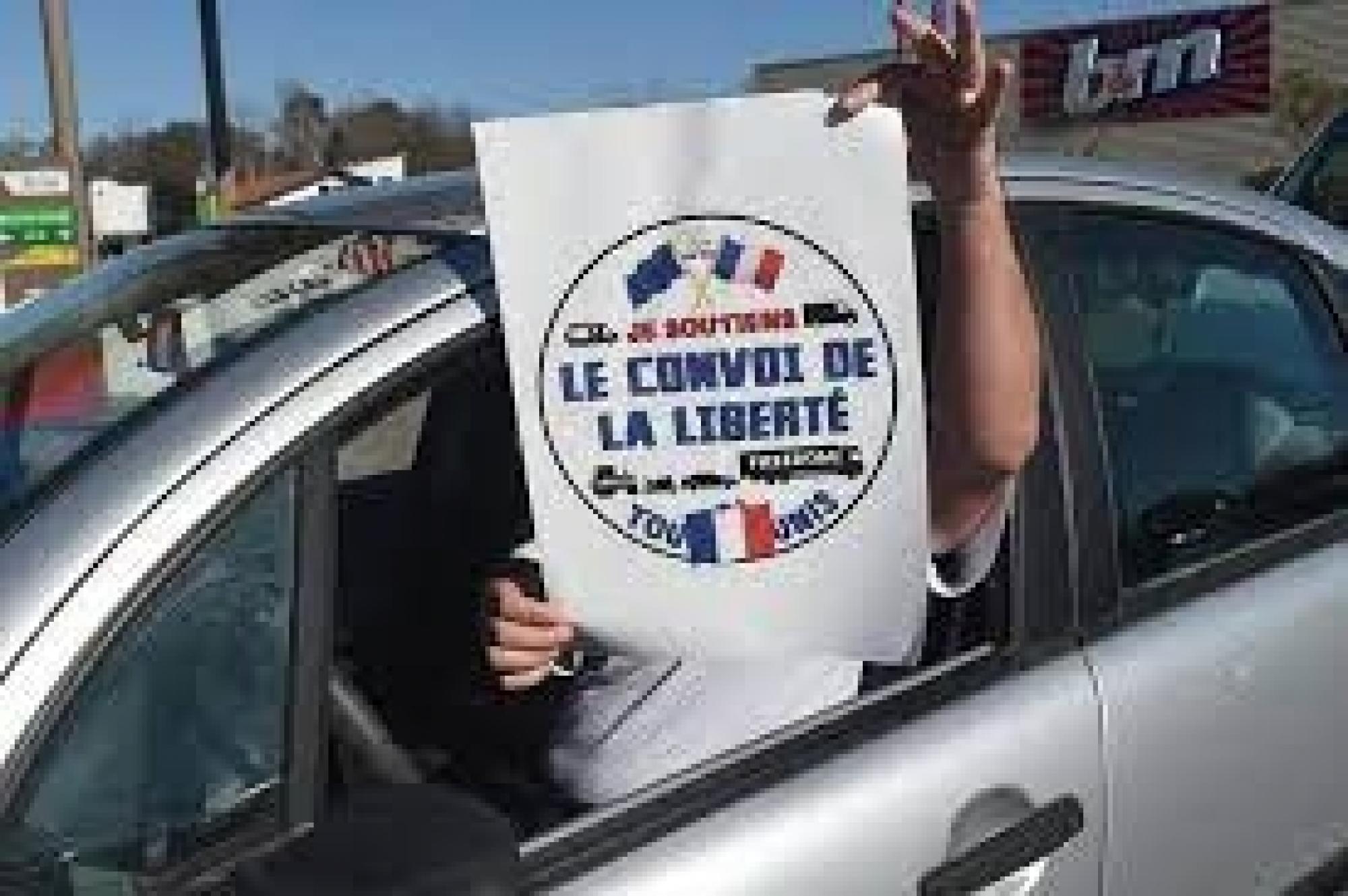 U cunviu di a libertà in Corti